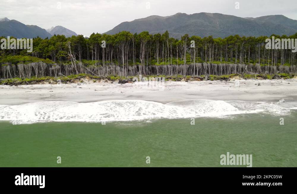 Rainforest meets the beach Stock Videos & Footage - HD and 4K Video ...