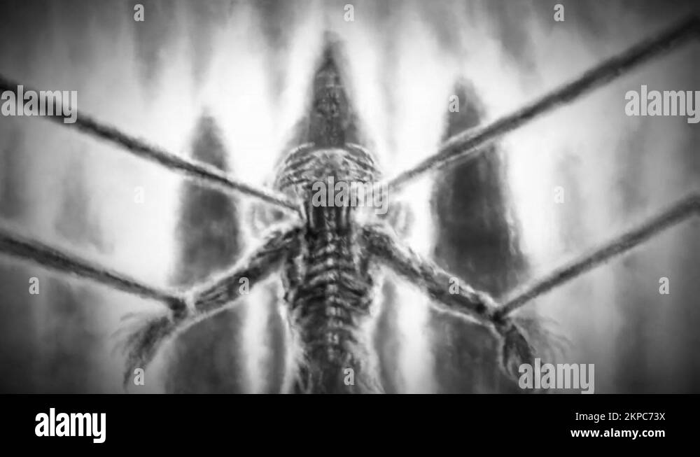 Undead head Stock Videos & Footage - HD and 4K Video Clips - Alamy