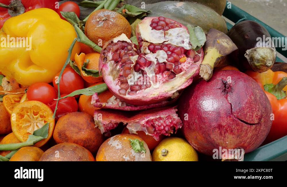 Throw out waste Stock Videos & Footage - HD and 4K Video Clips - Alamy