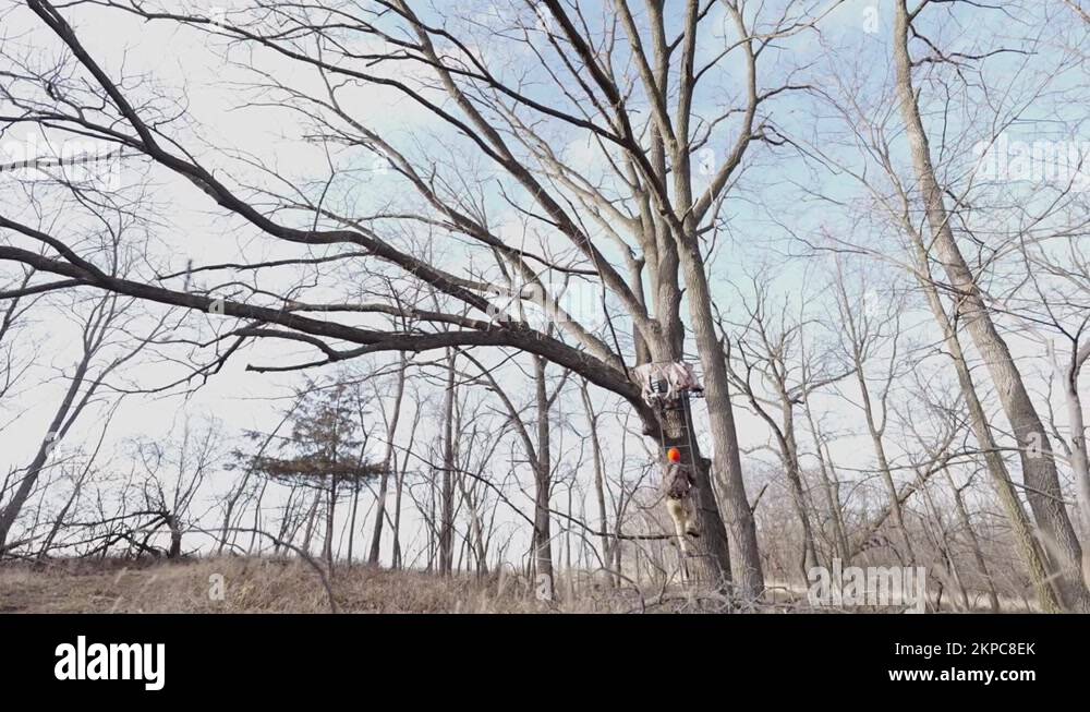 Hunter hideout Stock Videos & Footage - HD and 4K Video Clips - Alamy