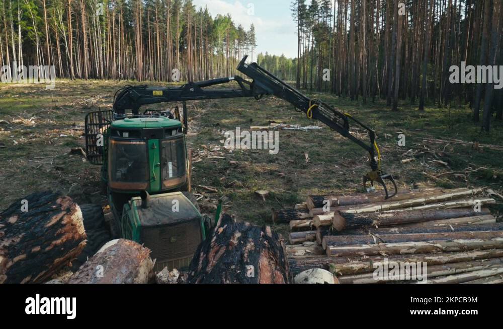 Log boom loader Stock Videos & Footage - HD and 4K Video Clips - Alamy