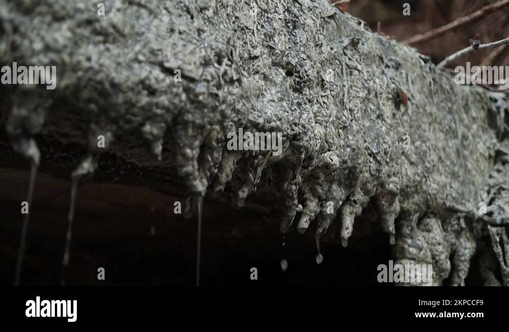 close up footage of sulfur water coming out of the old mine and ...