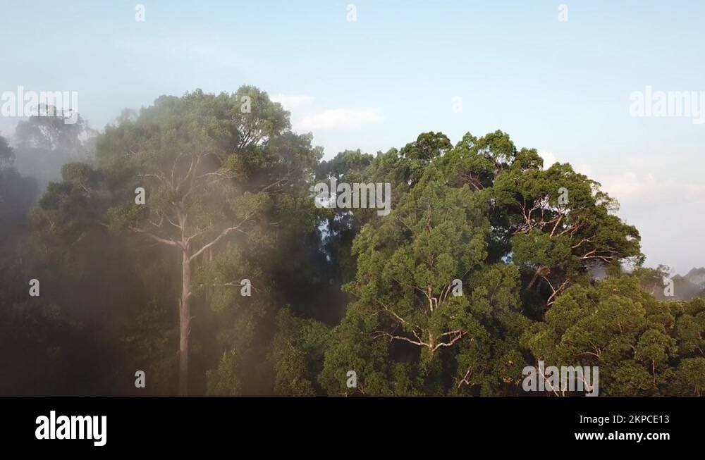 Gradually temple Stock Videos & Footage - HD and 4K Video Clips - Alamy