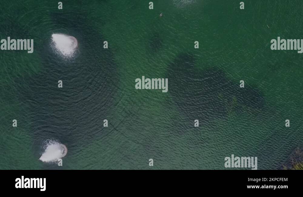 Lake birds eye view Stock Videos & Footage - HD and 4K Video Clips - Alamy