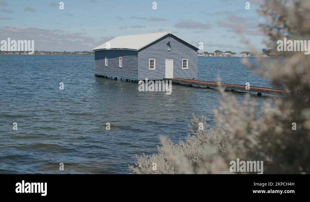 Crawley family Stock Videos & Footage - HD and 4K Video Clips - Alamy