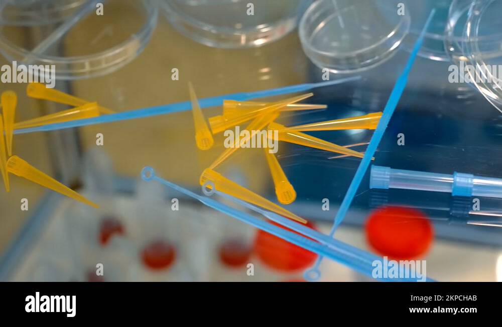 Lab cell culture serum Stock Videos & Footage - HD and 4K Video Clips ...