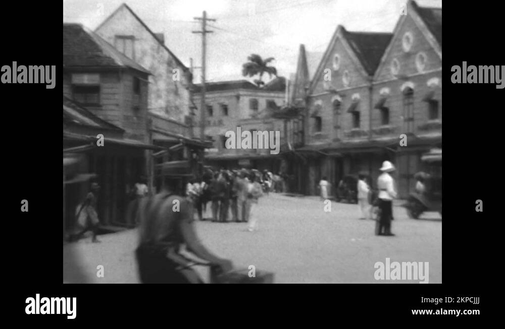 Donkey square Stock Videos & Footage - HD and 4K Video Clips - Alamy