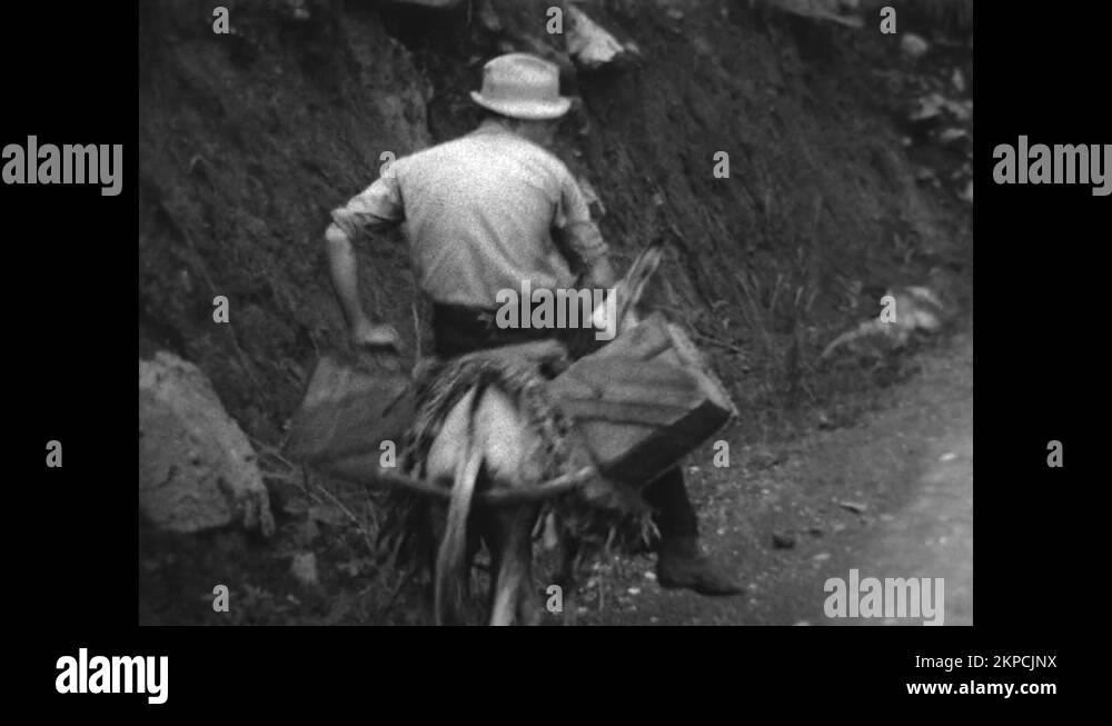 Burro rider Stock Videos & Footage - HD and 4K Video Clips - Alamy