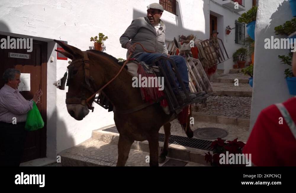 Donkey riding Stock Videos & Footage - HD and 4K Video Clips - Alamy