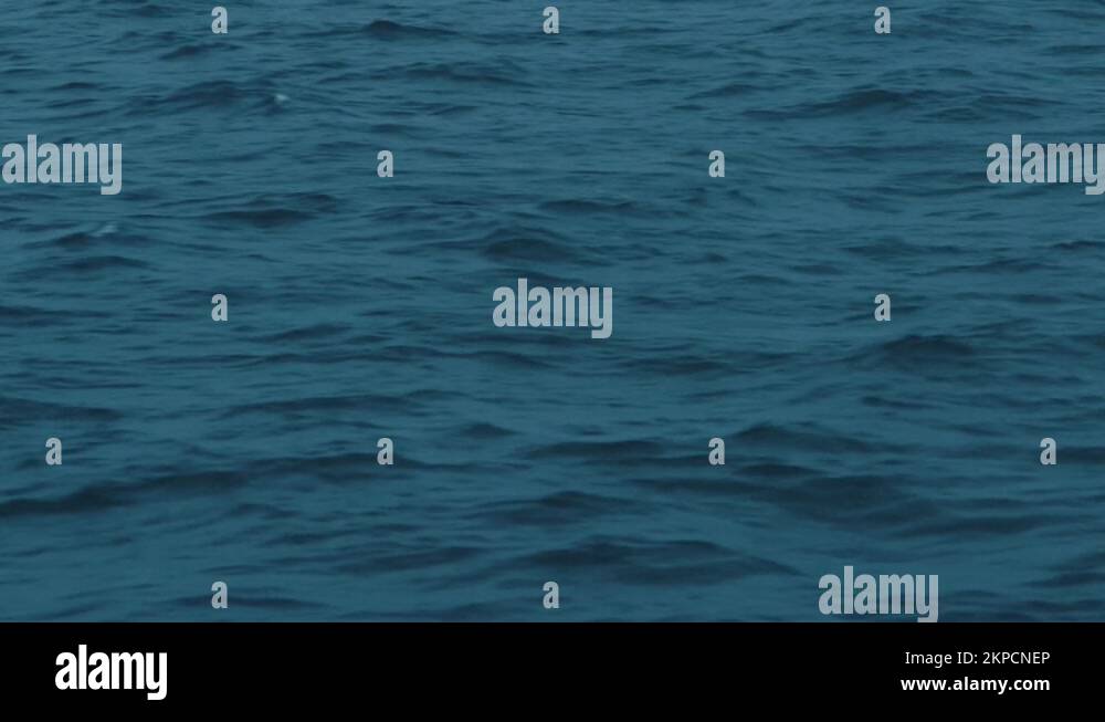 Dark blue ocean abstract Stock Videos & Footage - HD and 4K Video Clips ...