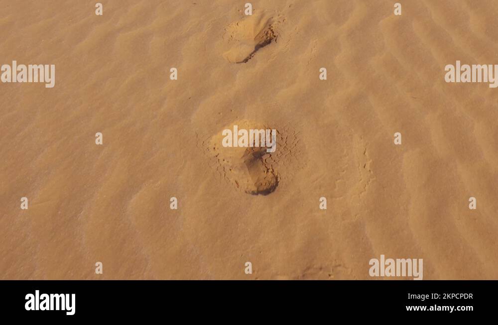 Fresh footprints, footsteps in sand. Top view Stock Video Footage - Alamy