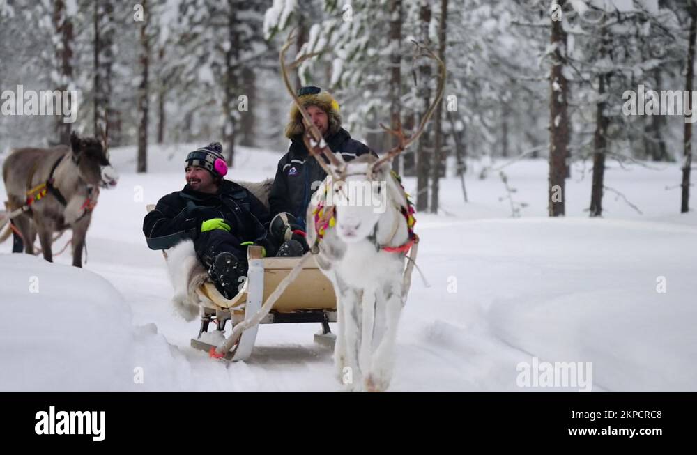 Reindeer ride lapland Stock Videos & Footage - HD and 4K Video Clips ...
