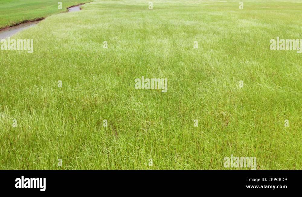 Drone overhead view Stock Videos & Footage - HD and 4K Video Clips - Alamy