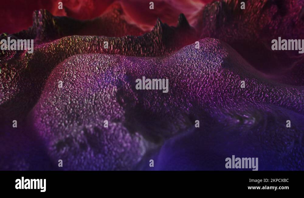 Abstract purple fluid background 3D render seamless loop animation Stock Video Footage - Alamy