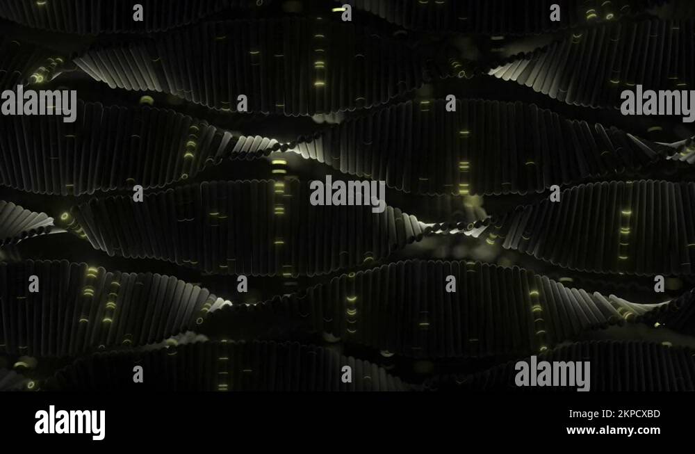 Digital structure of genetic code 3D render seamless loop animation Stock Video Footage - Alamy
