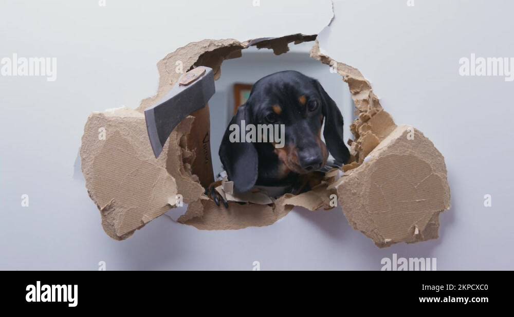 Broken crack texture black white Stock Videos & Footage - HD and 4K ...