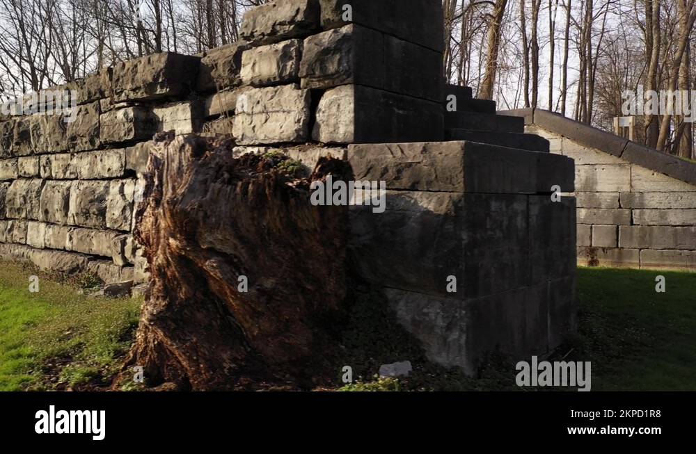 Eric lock Stock Videos & Footage - HD and 4K Video Clips - Alamy