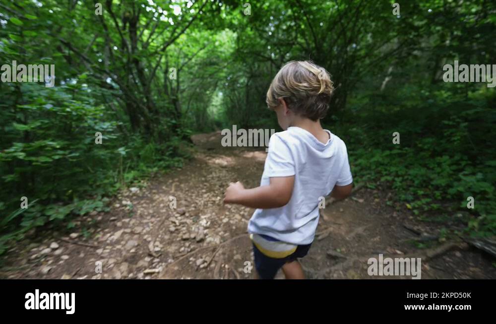 Kid hiking in the forest Stock Videos & Footage - HD and 4K Video Clips ...