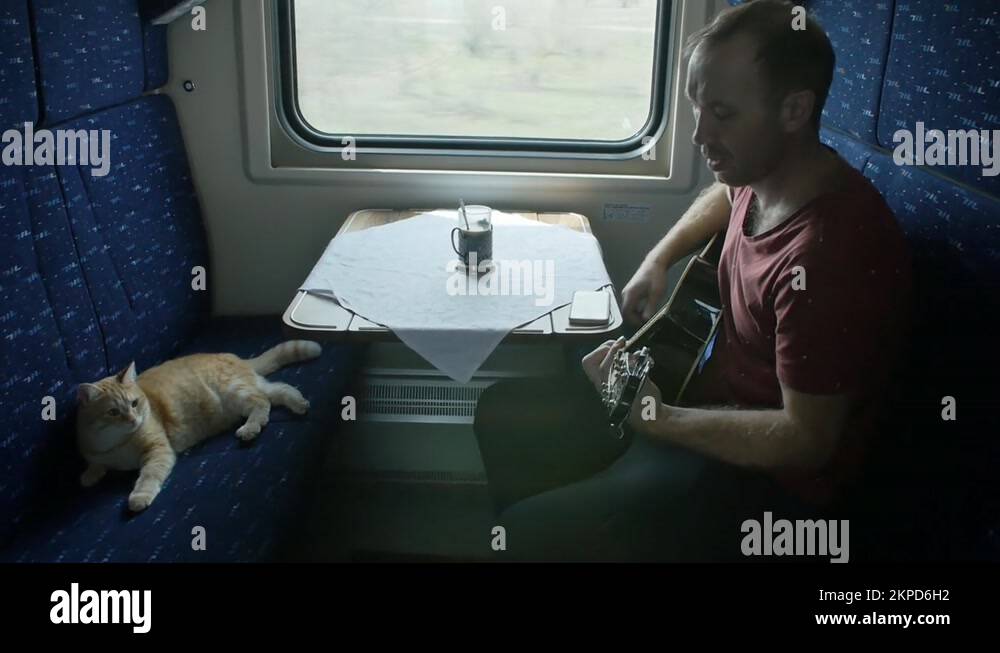 Ginger train Stock Videos & Footage - HD and 4K Video Clips - Alamy