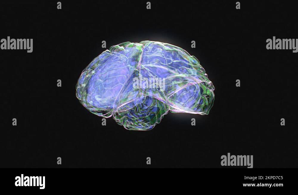 Artificial neural networks and the human brain Stock Videos & Footage ...
