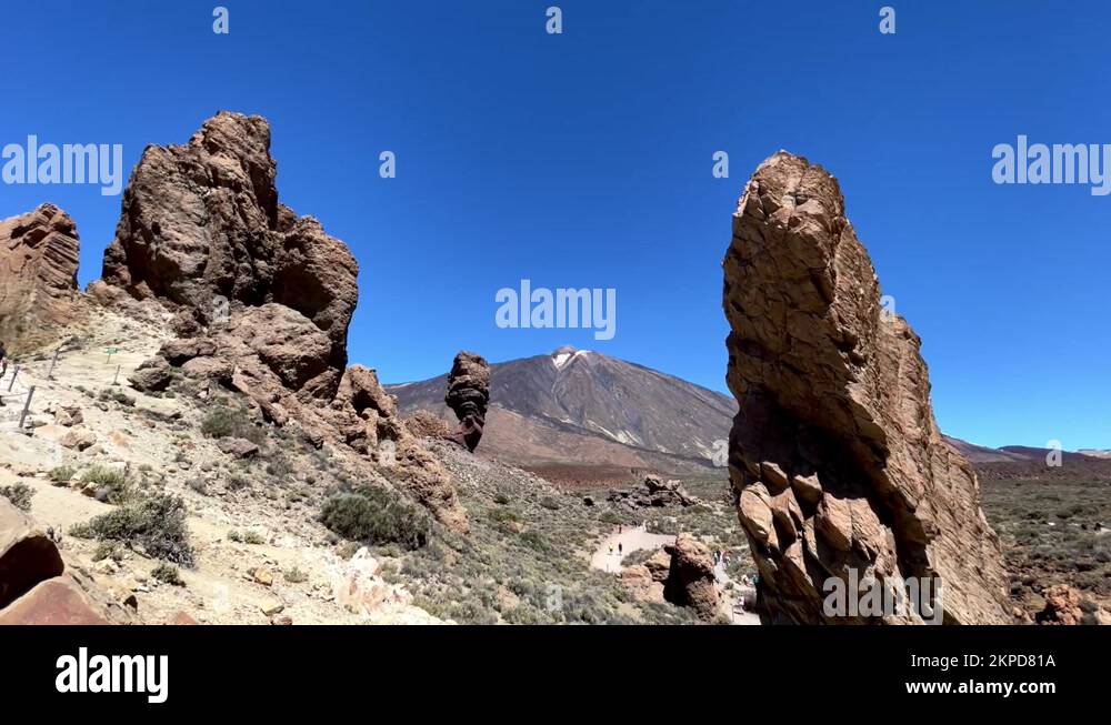 Symbol of canary islands Stock Videos & Footage - HD and 4K Video Clips ...