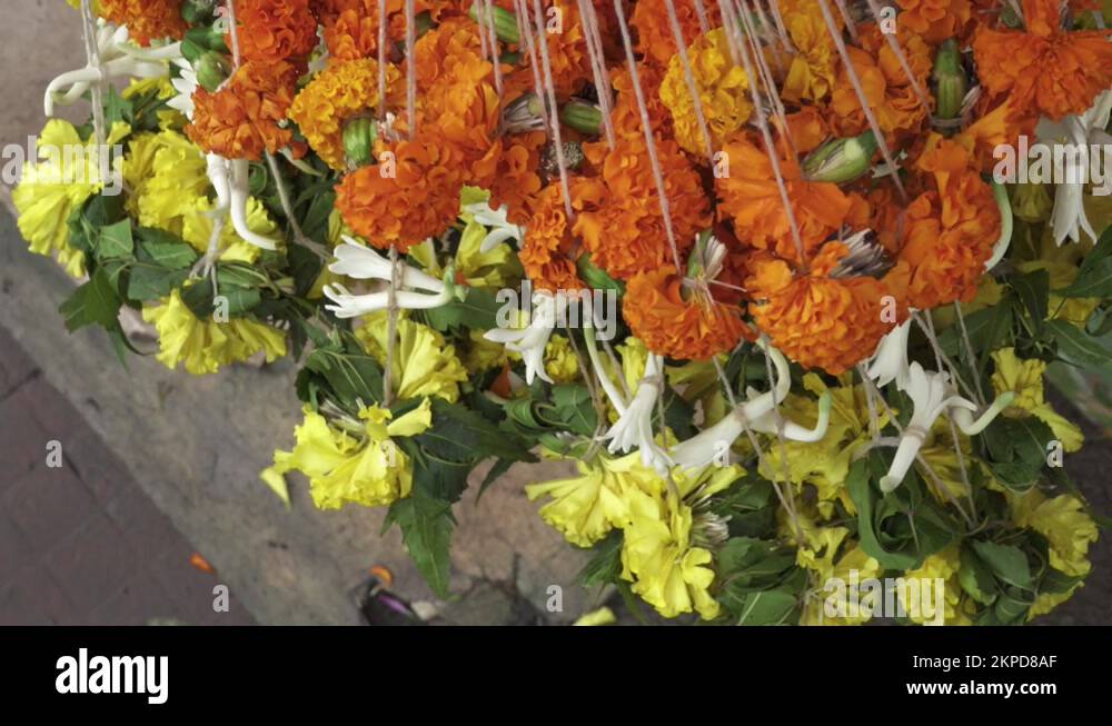 Marigold garlands india Stock Videos & Footage - HD and 4K Video Clips ...