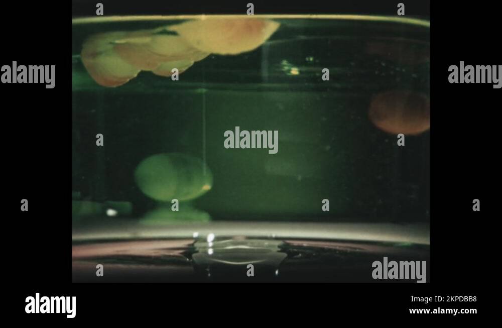 Dropped objects Stock Videos & Footage - HD and 4K Video Clips - Alamy