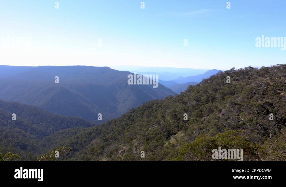 Australian alpine trees Stock Videos & Footage - HD and 4K Video Clips ...