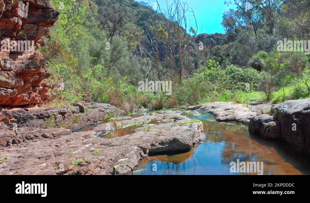 Wild exploration Stock Videos & Footage - HD and 4K Video Clips - Alamy