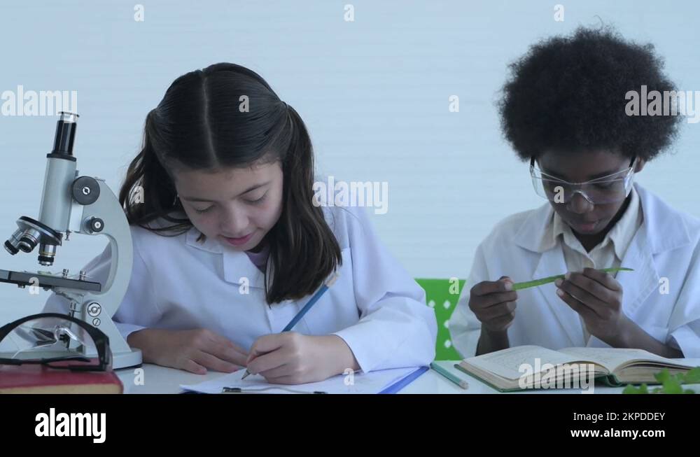 Education concept of 4k Resolution. Young students are experimenting ...