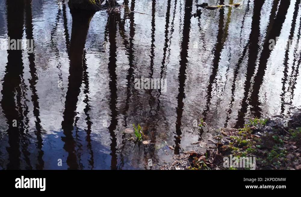 Puddle ice park Stock Videos & Footage - HD and 4K Video Clips - Alamy