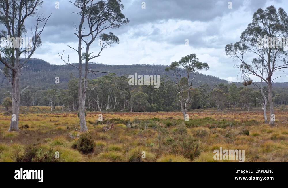 Eco tourism ecosystem Stock Videos & Footage - HD and 4K Video Clips ...