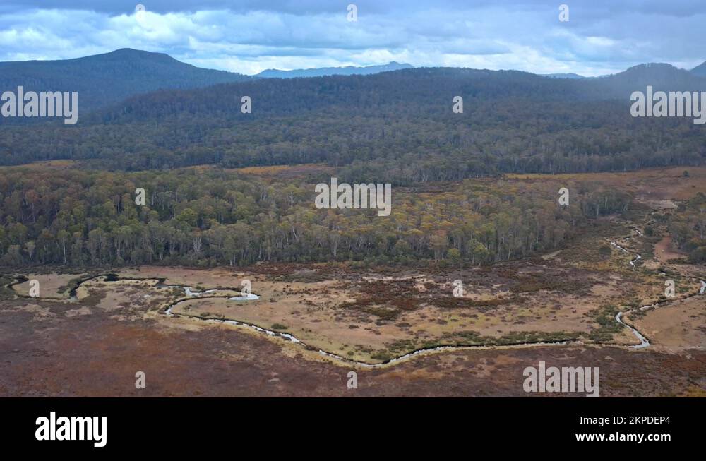 Cold climate ecosystem Stock Videos & Footage - HD and 4K Video Clips ...