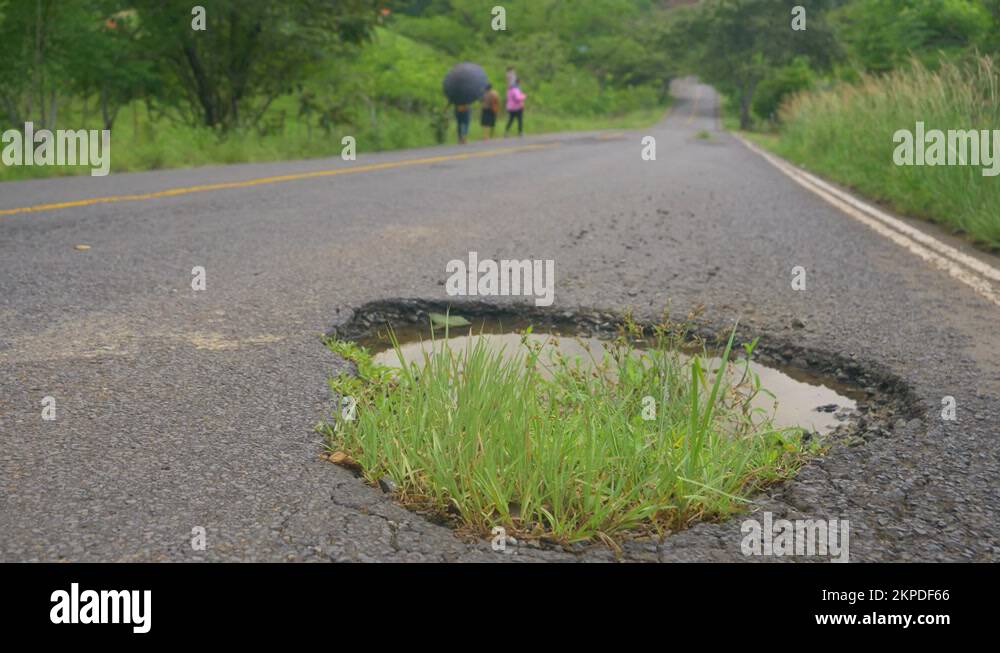 CLOSE UP: Half overgrown road pit puddle on a paved countryside road ...