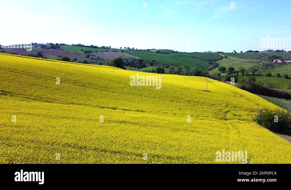 Italian yellow earth Stock Videos & Footage - HD and 4K Video Clips - Alamy