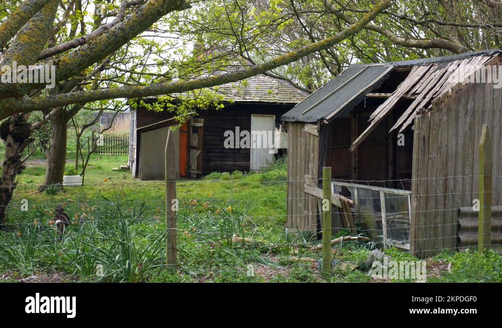 War damaged house Stock Videos & Footage - HD and 4K Video Clips - Alamy