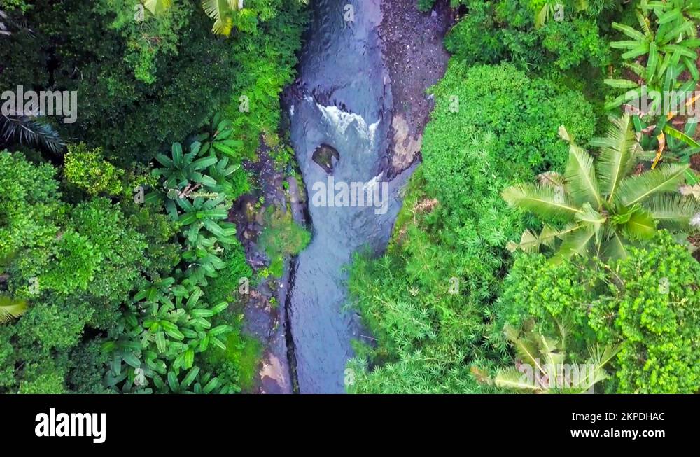 Tropical rainforest jungle river, aerial top down of green nature in ...