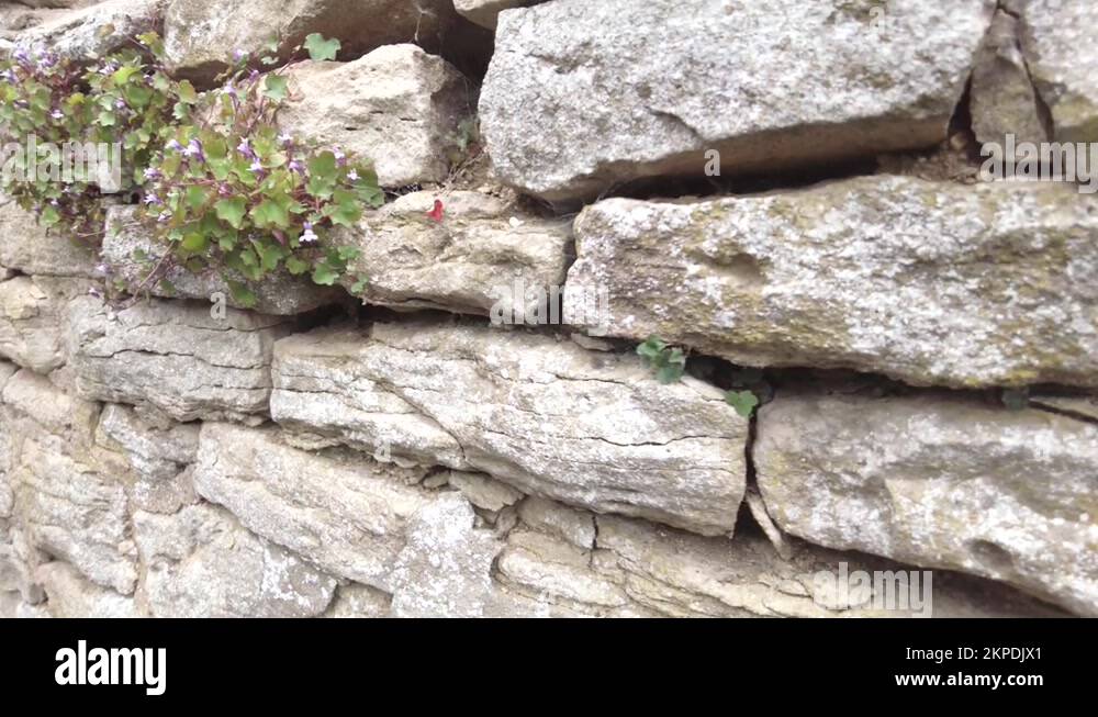 Rural mud architecture Stock Videos & Footage - HD and 4K Video Clips ...