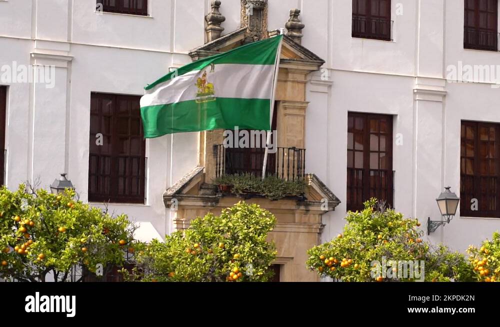 Andalusian flag Stock Videos & Footage - HD and 4K Video Clips - Alamy