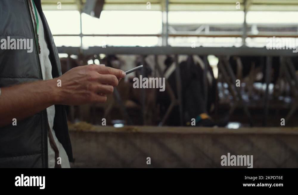 Livestock holding Stock Videos & Footage - HD and 4K Video Clips - Alamy