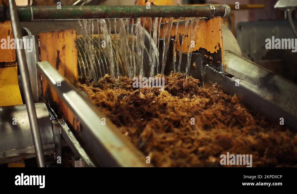 Mexican washing line Stock Videos & Footage - HD and 4K Video Clips - Alamy