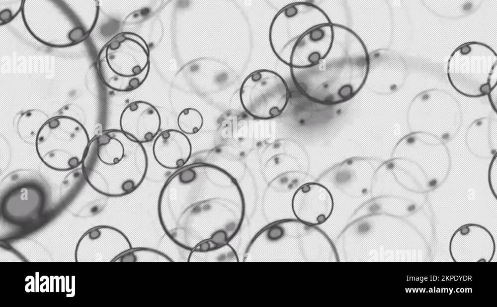 Gray Bubbles - Animation - Loop - 4k - Alpha Channel Stock Video ...