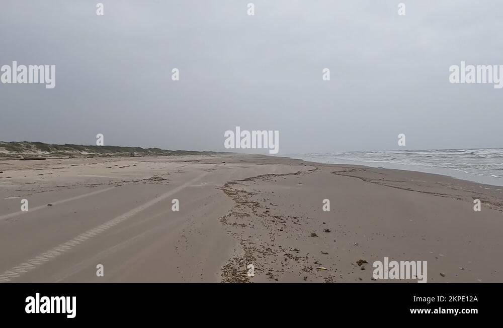 Texas ocean birds Stock Videos & Footage - HD and 4K Video Clips - Alamy