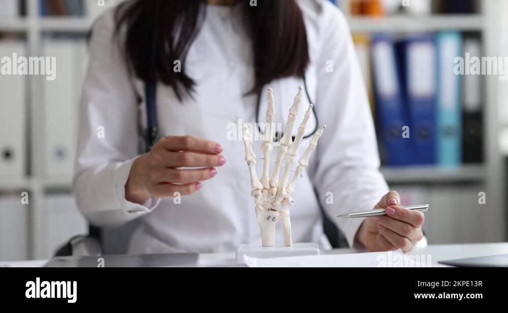 Body bone bones doctor examination hospital joint Stock Videos ...