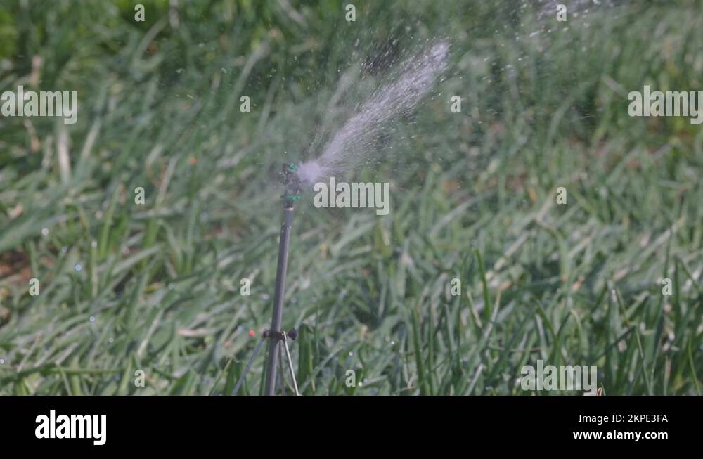 Spreading out water Stock Videos & Footage - HD and 4K Video Clips - Alamy