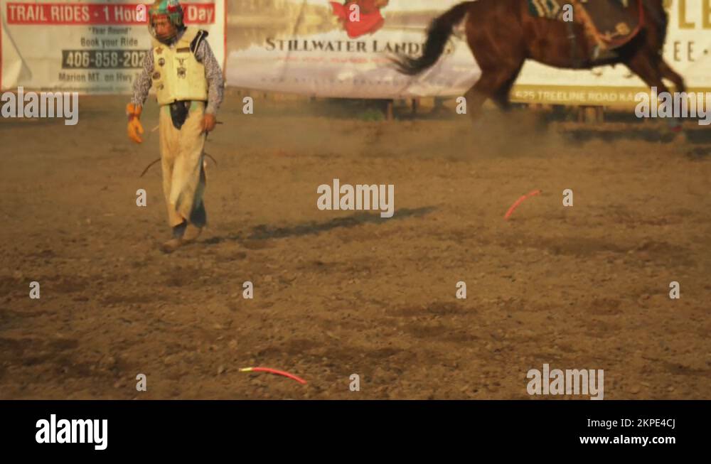 Cowboy roping wild horse Stock Videos & Footage - HD and 4K Video Clips ...