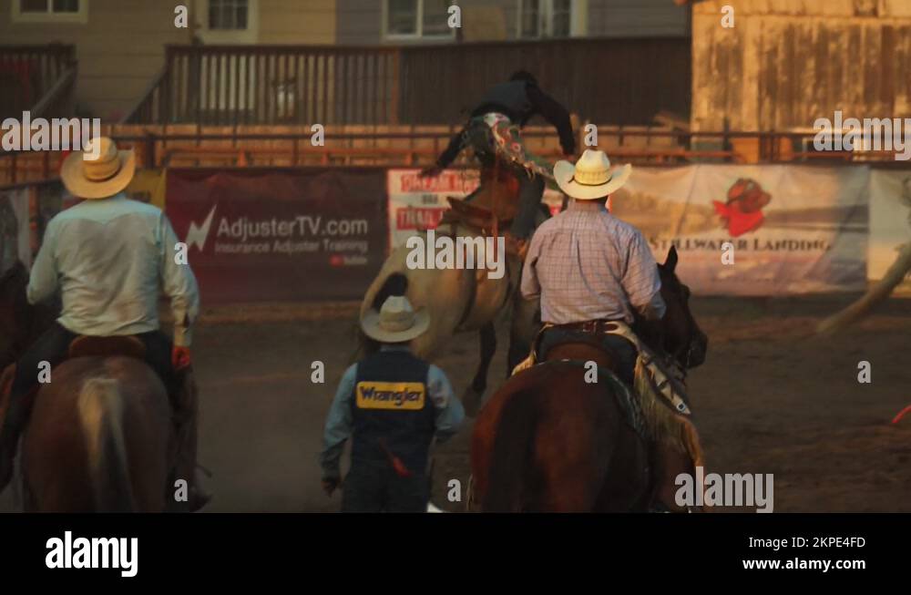 Rider falling off horse Stock Videos & Footage - HD and 4K Video Clips ...