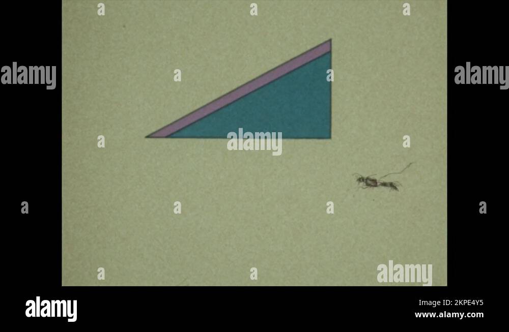 1980s: Diagram of a triangle with equal sides and arrows Stock Video ...