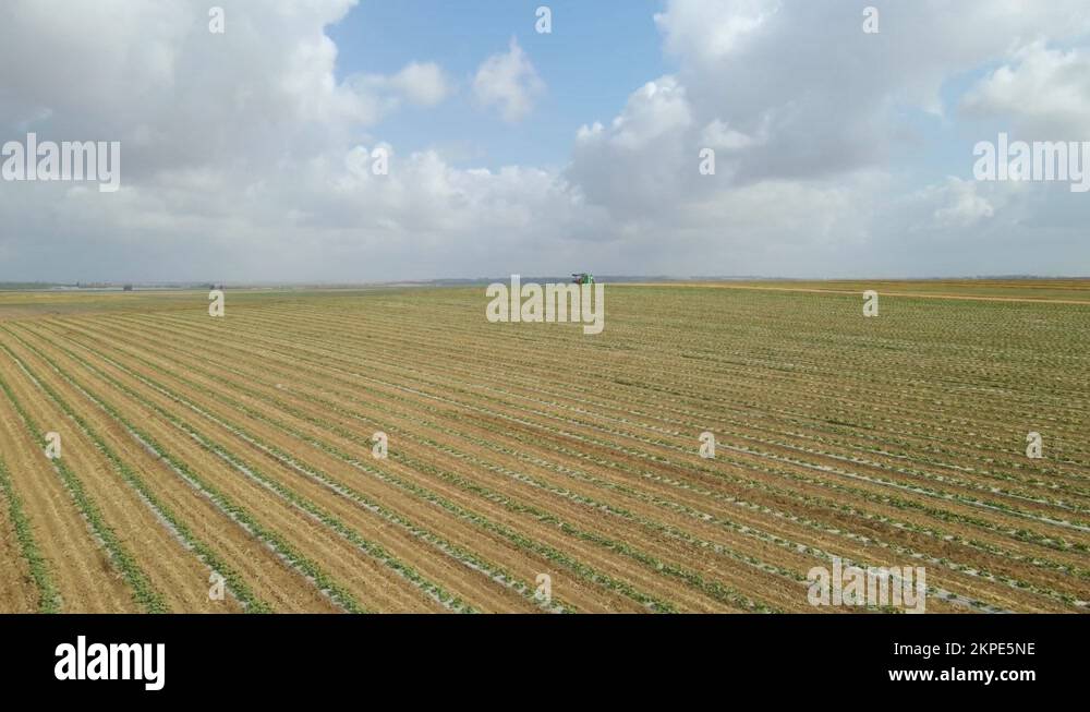 Crops fields Stock Videos & Footage - HD and 4K Video Clips - Alamy