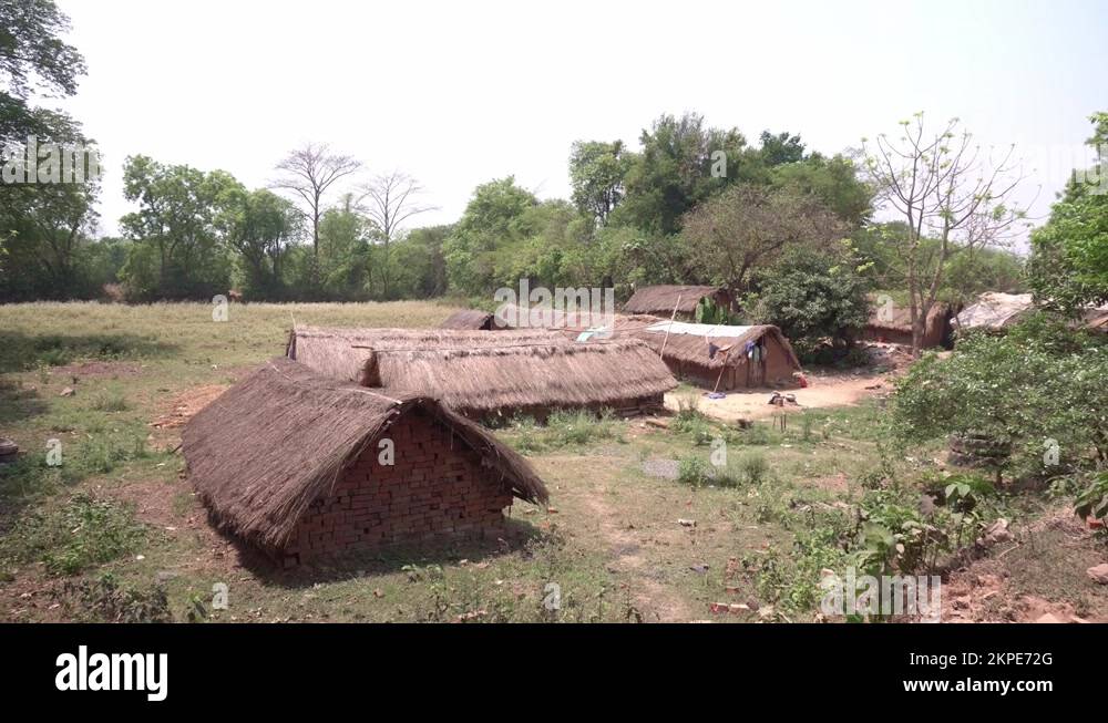 Indigenous people in remote areas of India live in mud huts and ...